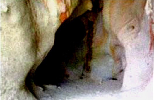 The metal pyramid of Mount Baigong: fairy tale or mystery? • Neperos