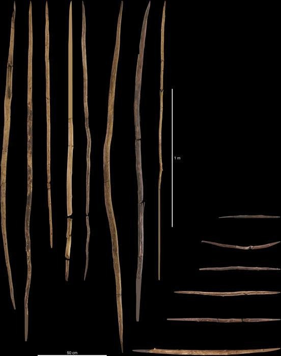 The wood technology in the paleolithic era: Neanderthal discoveries ...