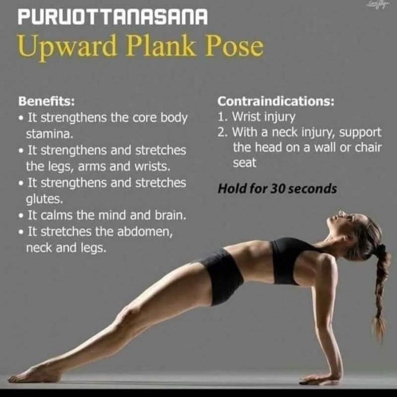 Upward Plank Pose - puruottanasana • Neperos