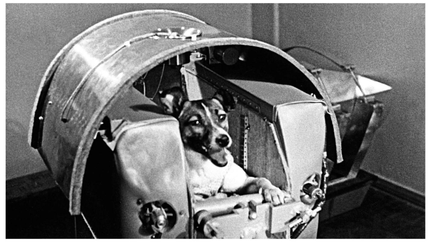 The occult history of space travel • Neperos
