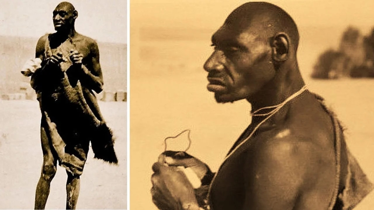 Unclassified Ancestors: The Hidden Faces of Evolution • Neperos