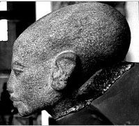 Dolicocephaly: the mystery of elongated skulls • Neperos