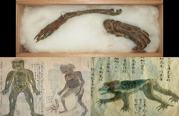 Mummified remains of a japanese mythological creature? Kappa, the water ...