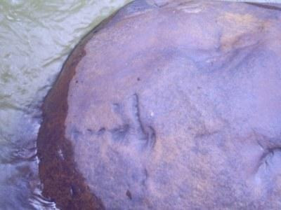 Expedition to the Pyramids of Pantiacolla • Neperos