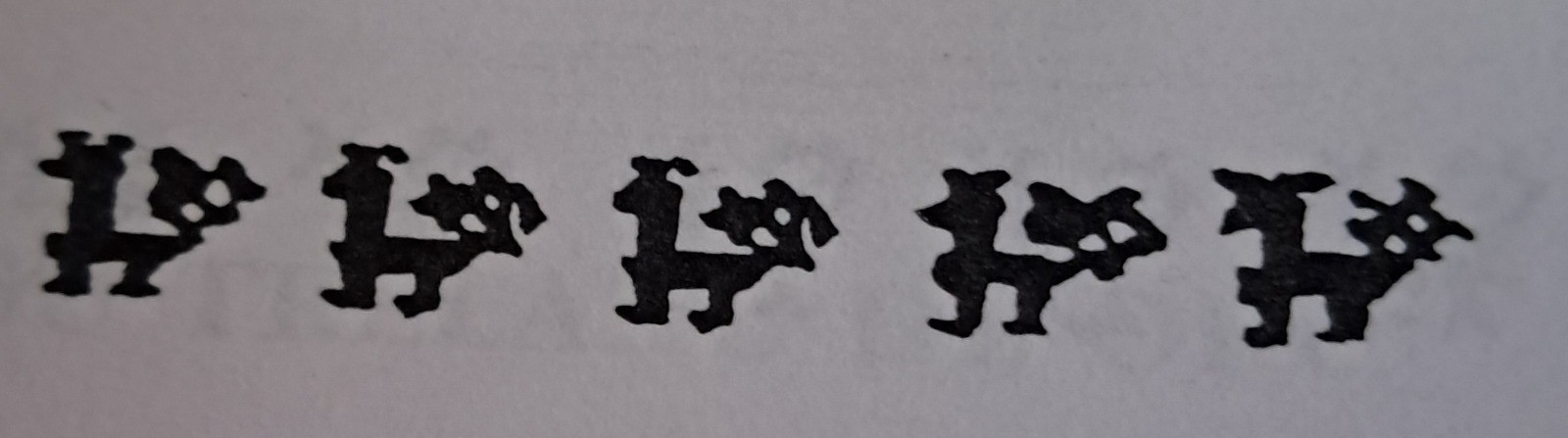 CINCU IMBUDUS • Neperos