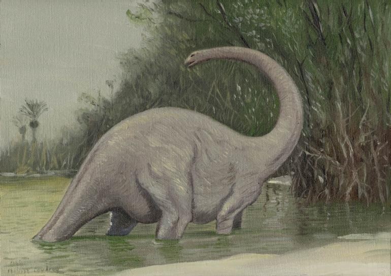 The Mokele-mbembe: an unsolved mystery • Neperos
