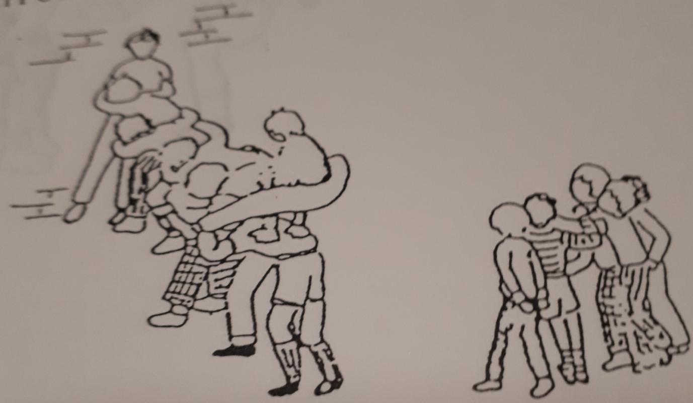 QUADDUS FOTTIS (cavalli forti) • Neperos