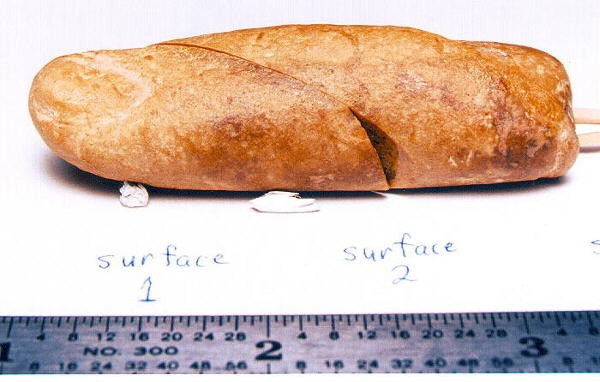 A Fossilized Human Finger • Neperos