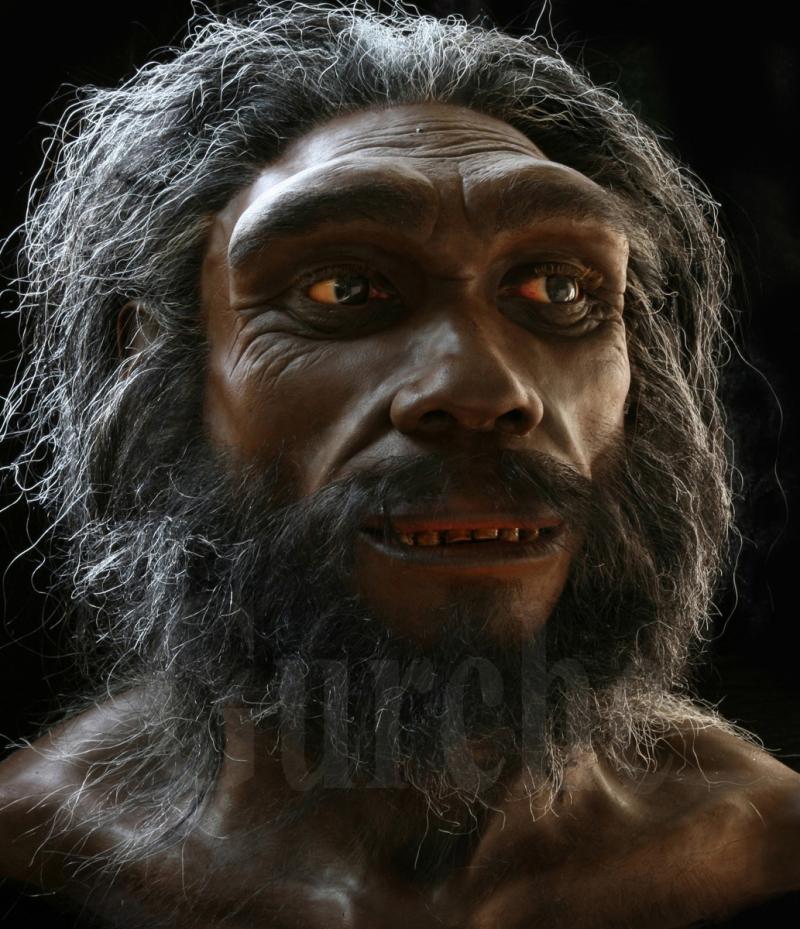 When we were one step away from extinction • Neperos