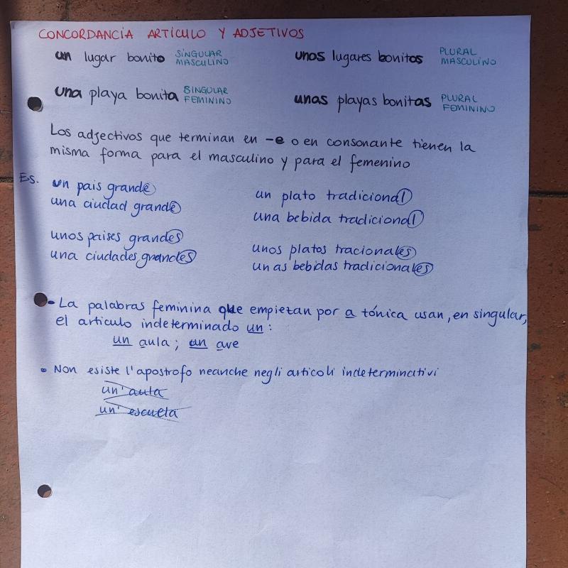Concordancia articoli y adjetivos • Neperos
