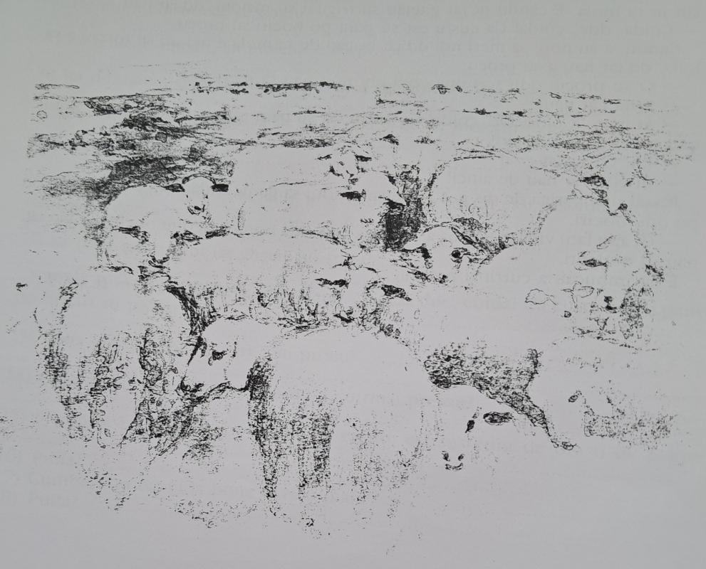 S' ORA DE MULLIRI • Neperos