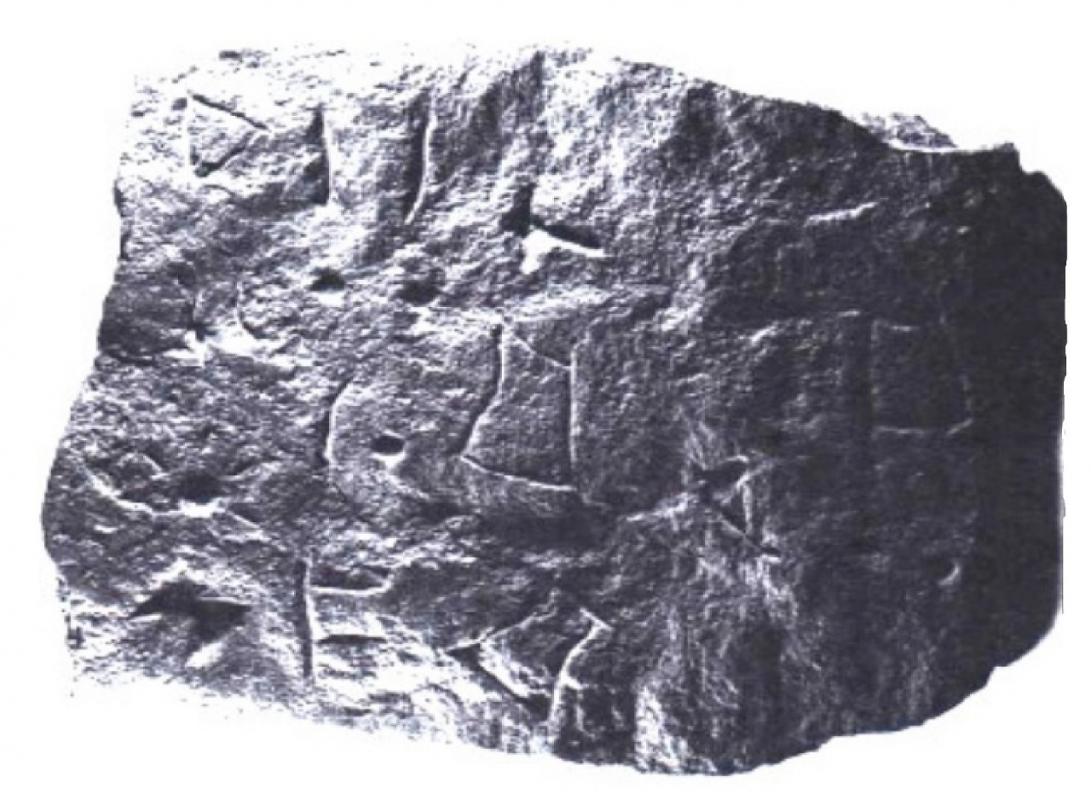 Ancient Contacts in the Americas • Neperos