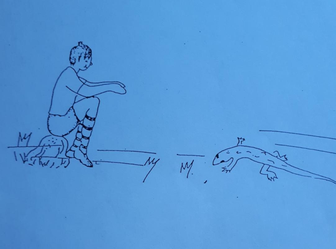 ZIRIGHETTA ZIRIGHETTA ( lucertolina ) • Neperos