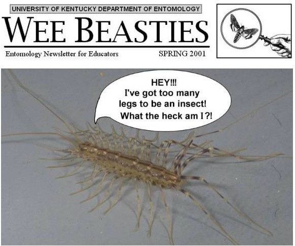 WEE BEASTIES 3 • Neperos