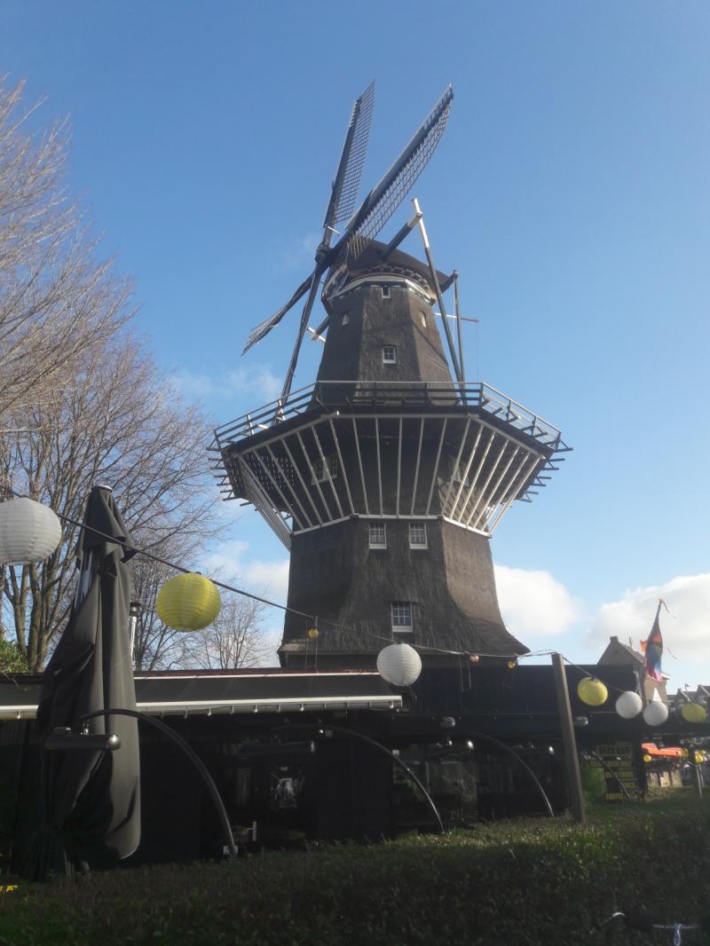 The windmill • Neperos