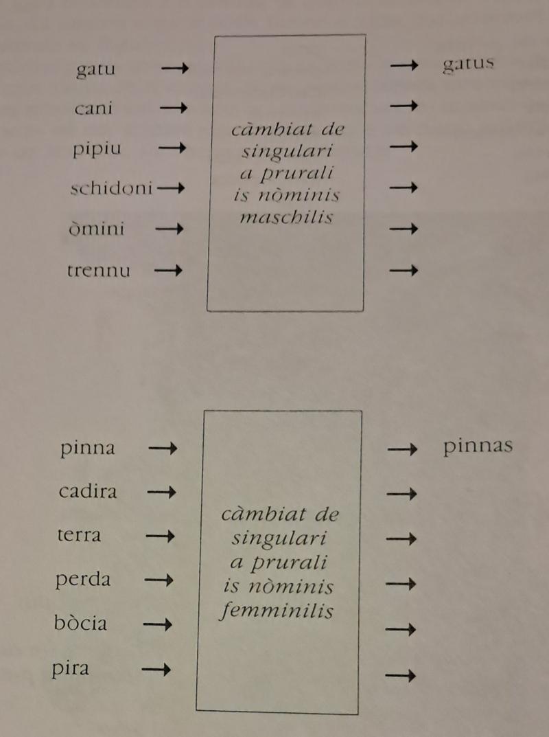 NOMINUS E ARREGULAS • Neperos
