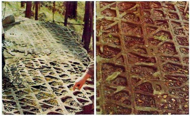 Waffle Rock: geological oddity or remnant of 250 million year old ...