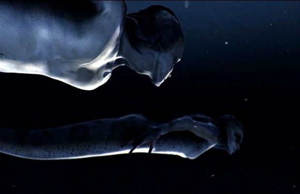 Do mermaids really exist? the fascinating theory of the aquatic ...