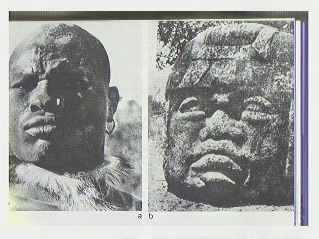 African presence in America before Columbus • Neperos