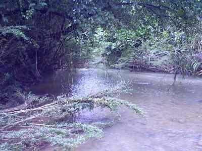 Expedition to the Pyramids of Pantiacolla • Neperos